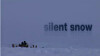 Silent snow